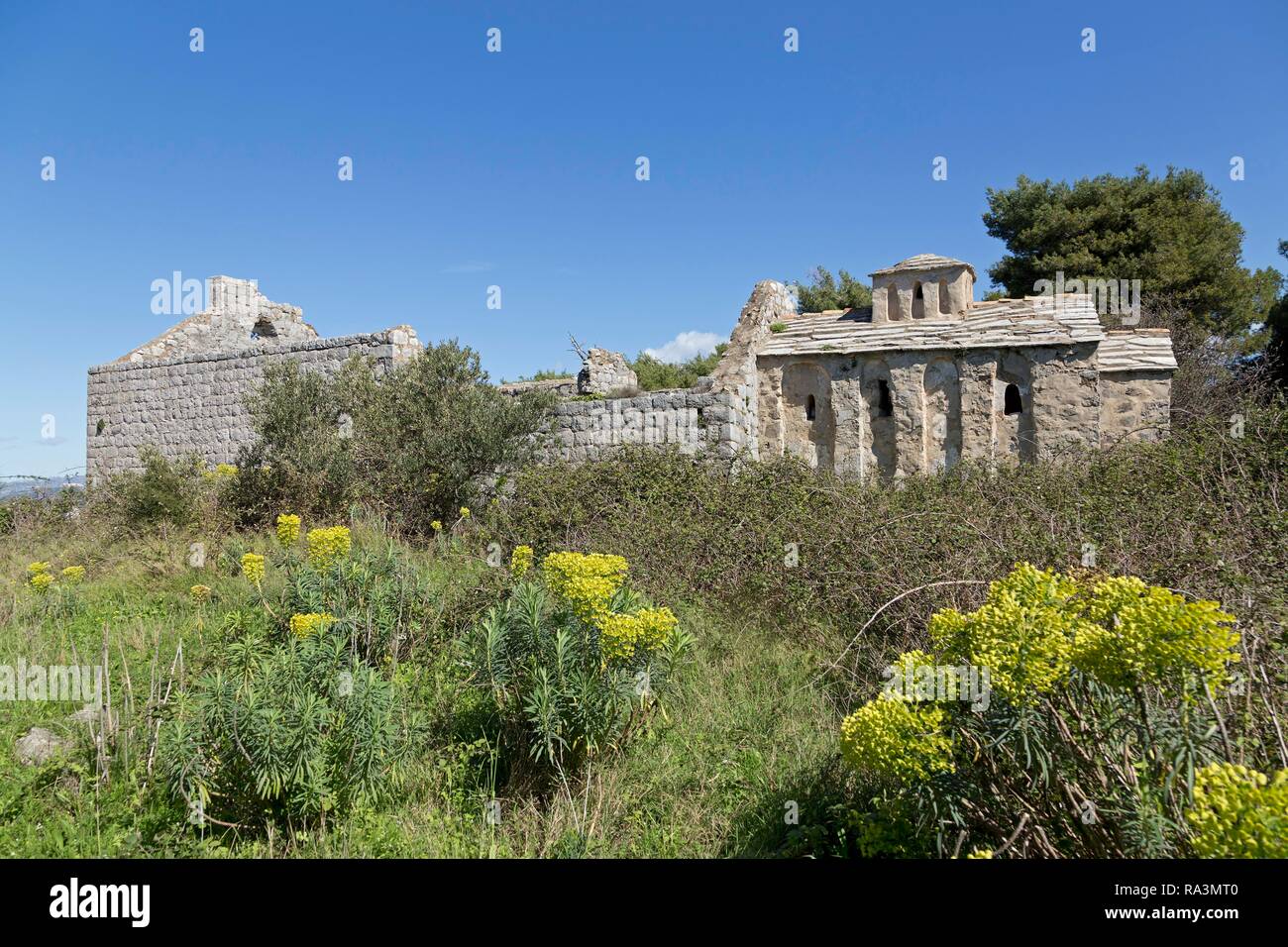 Church ruin, Lopud Island, Elaphite Islands, Dalmatia, Croatia Stock ...