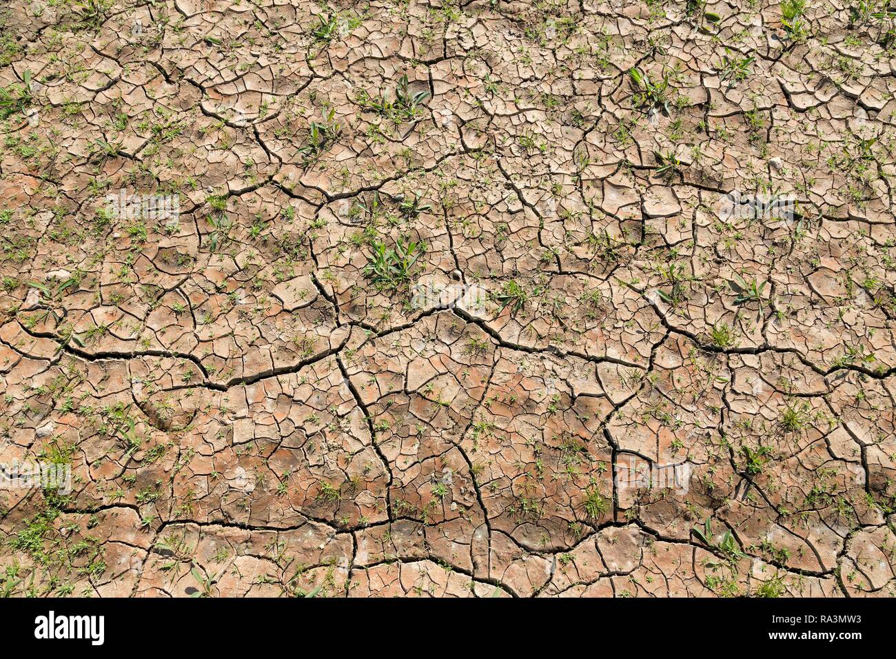 Dried out soil, background image, Germany Stock Photo - Alamy