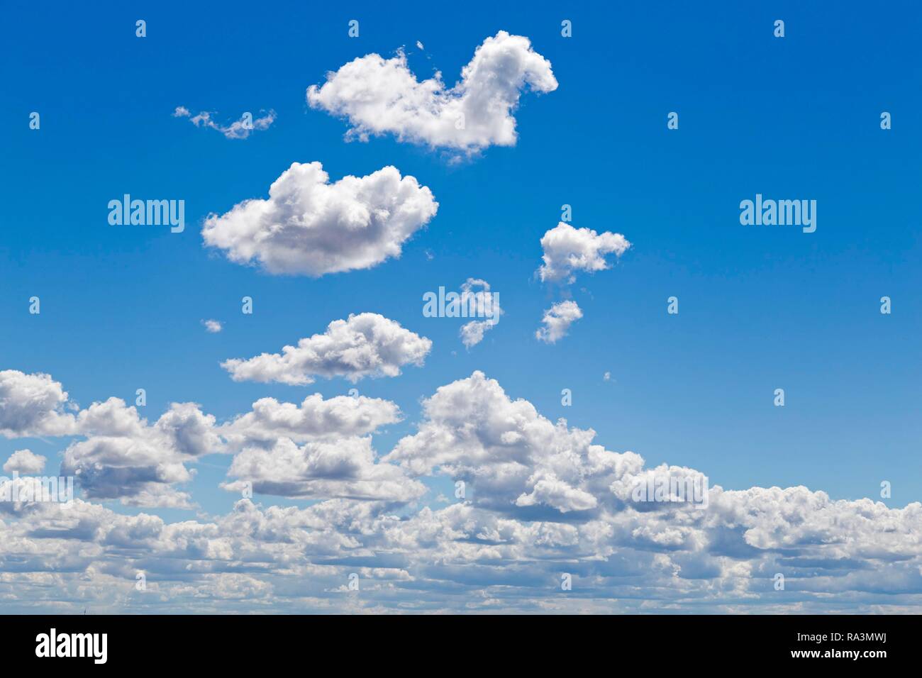 Blue cloudless sky no clouds hi-res stock photography and images - Alamy