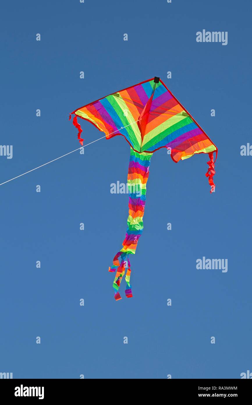 Kite in front of blue sky, Wustrow, Fischland, Mecklenburg-Western ...