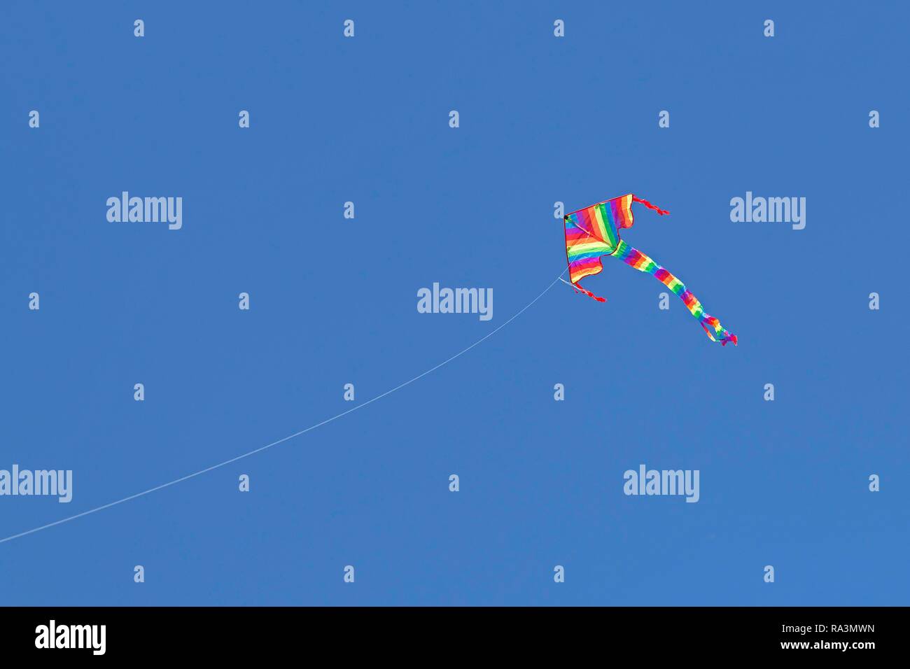 Kite in front of blue sky, Wustrow, Fischland, Mecklenburg-Western ...