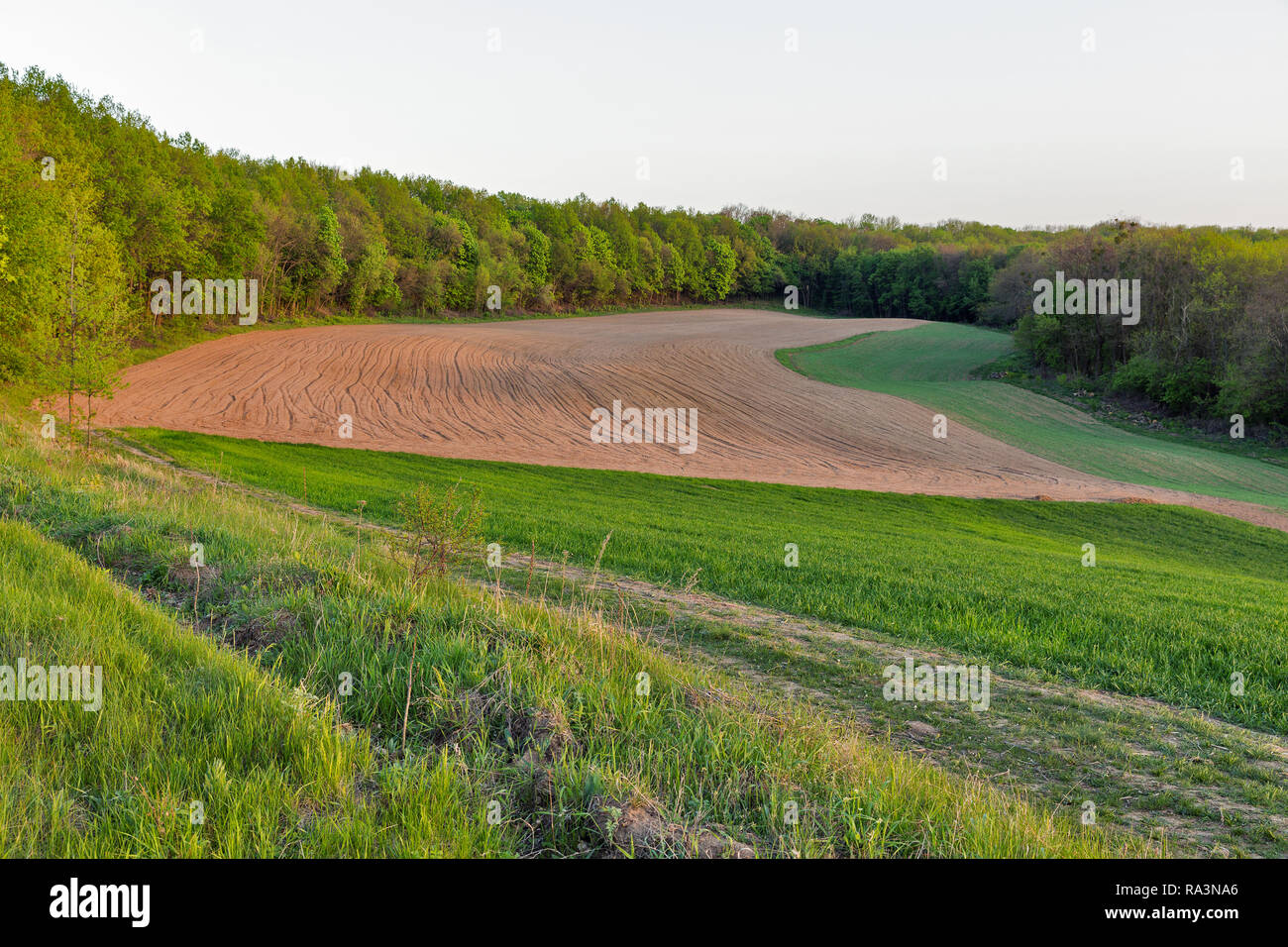 Ukrainian spring hi-res stock photography and images - Alamy
