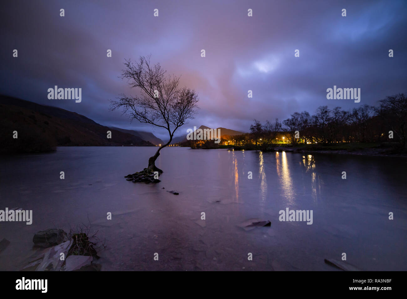 Snowdonia tree hi-res stock photography and images - Alamy