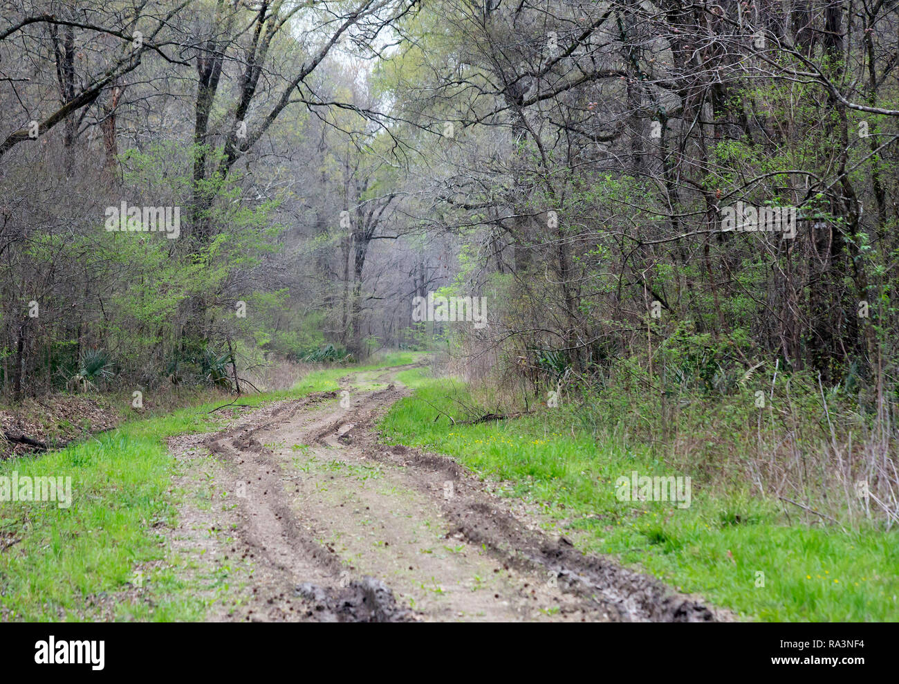Muddy ruts hi-res stock photography and images - Alamy