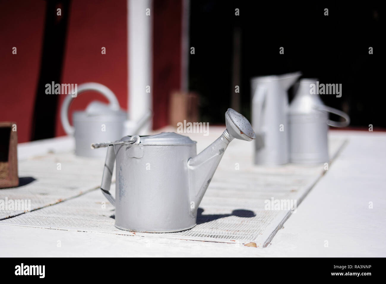 Yuc hi-res stock photography and images - Alamy