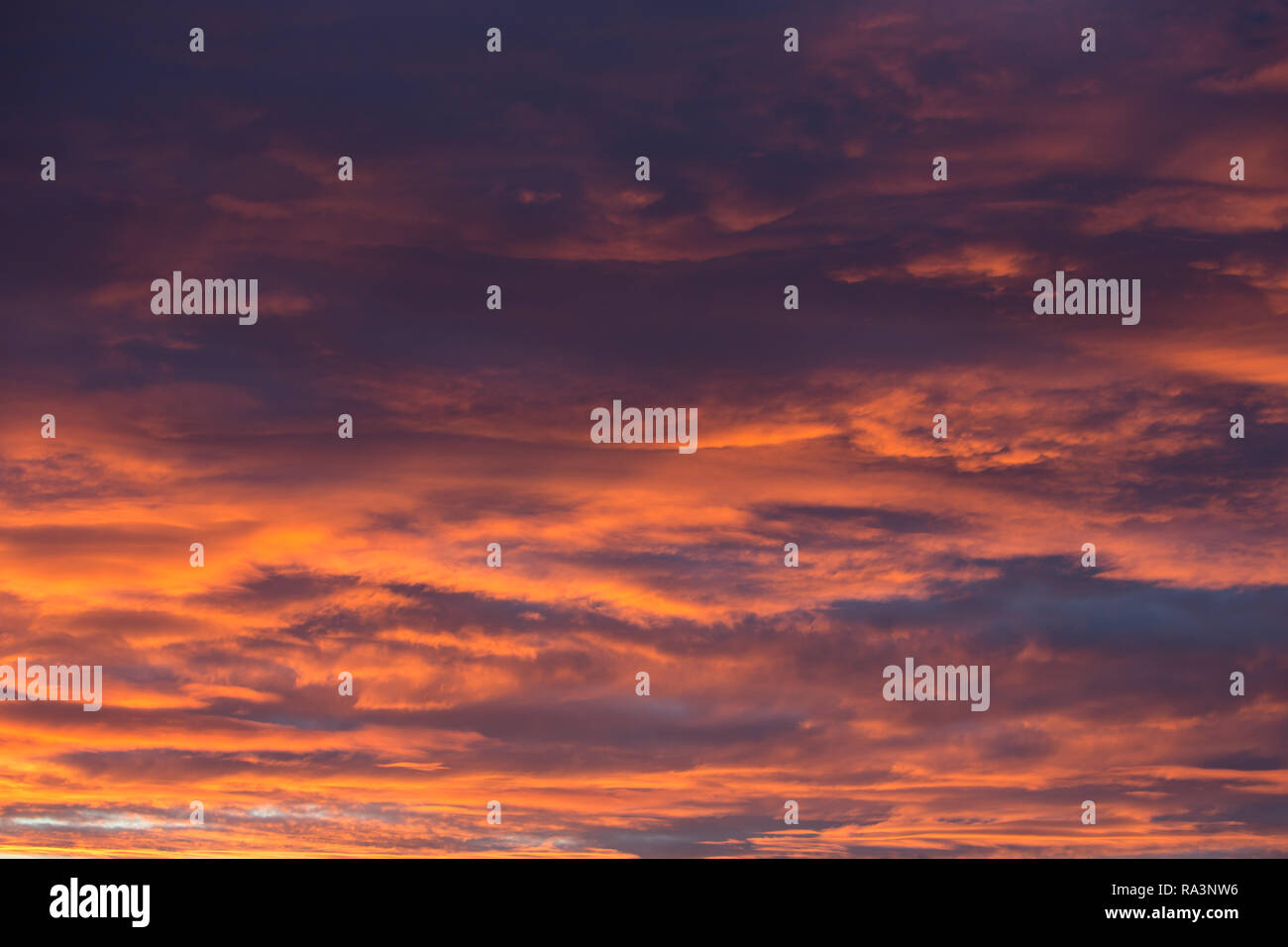 Bushwick brooklyn night hi-res stock photography and images - Alamy