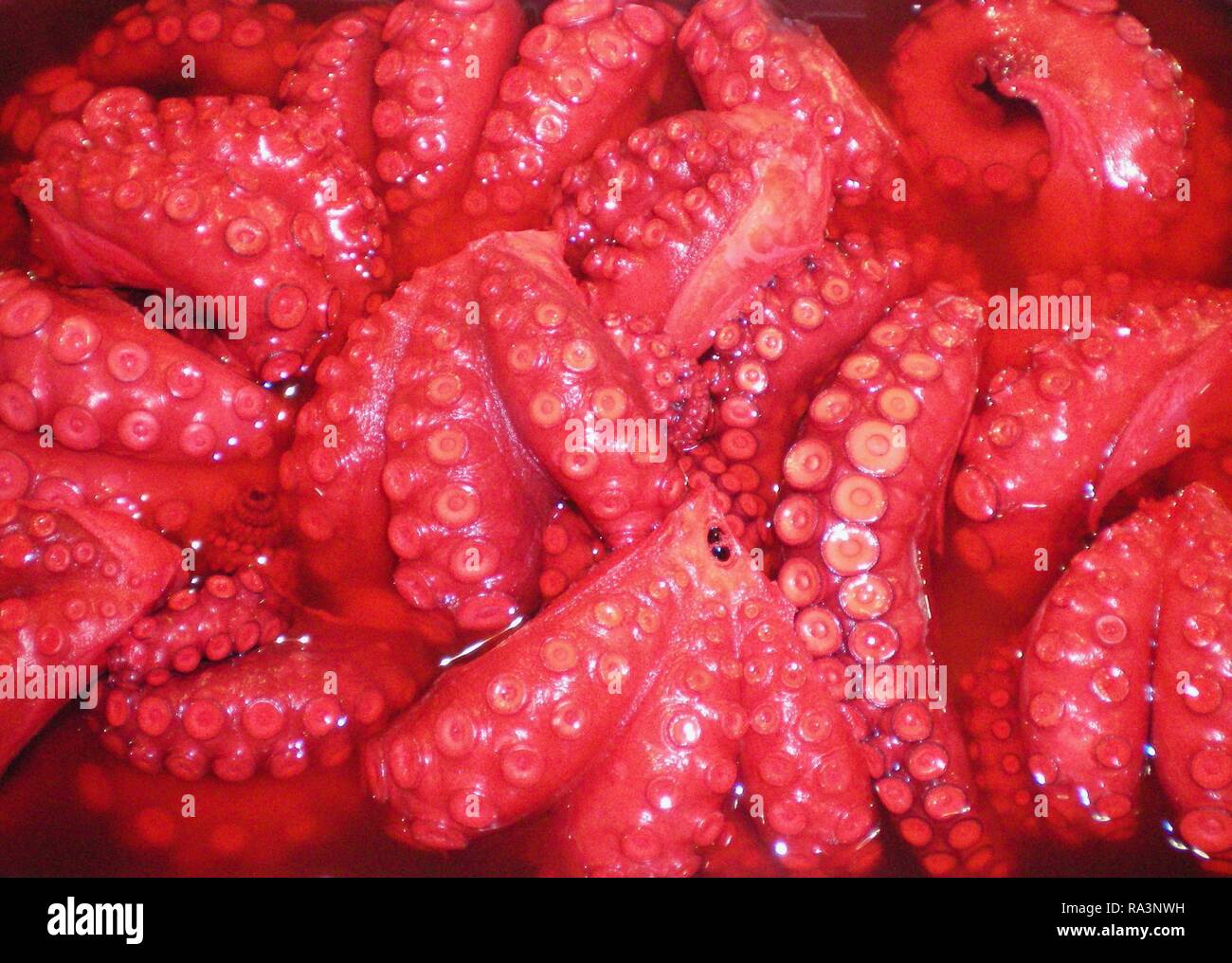 Octopus Legs High Resolution Stock Photography and Images - Alamy