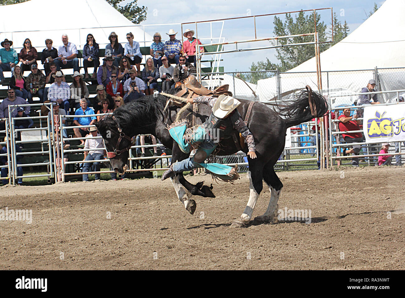 Bronco riding hi-res stock photography and images - Alamy