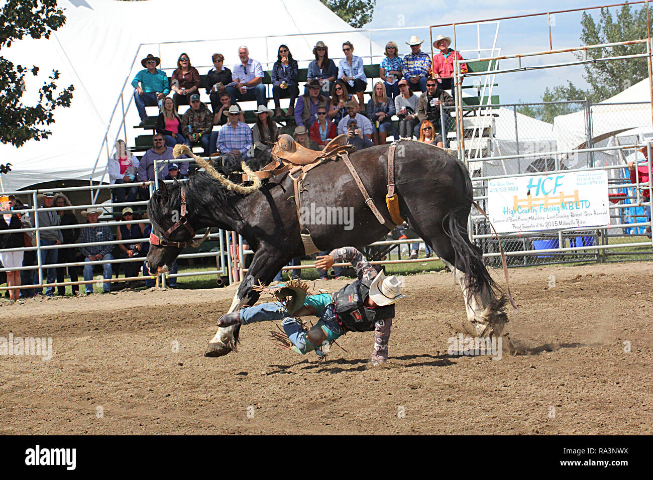Bronco riding hi-res stock photography and images - Alamy