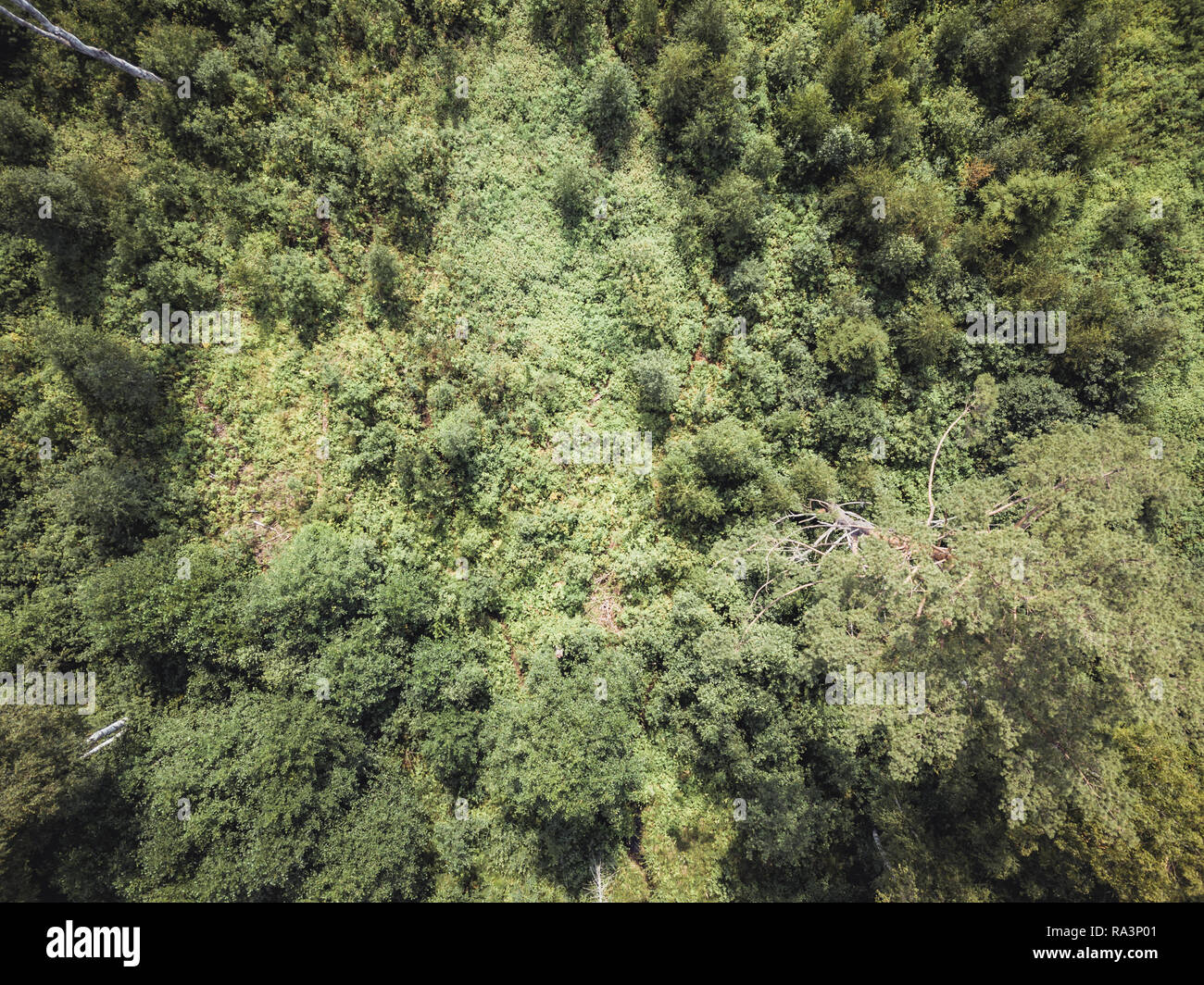 Edit High Resolution Stock Photography and Images - Alamy