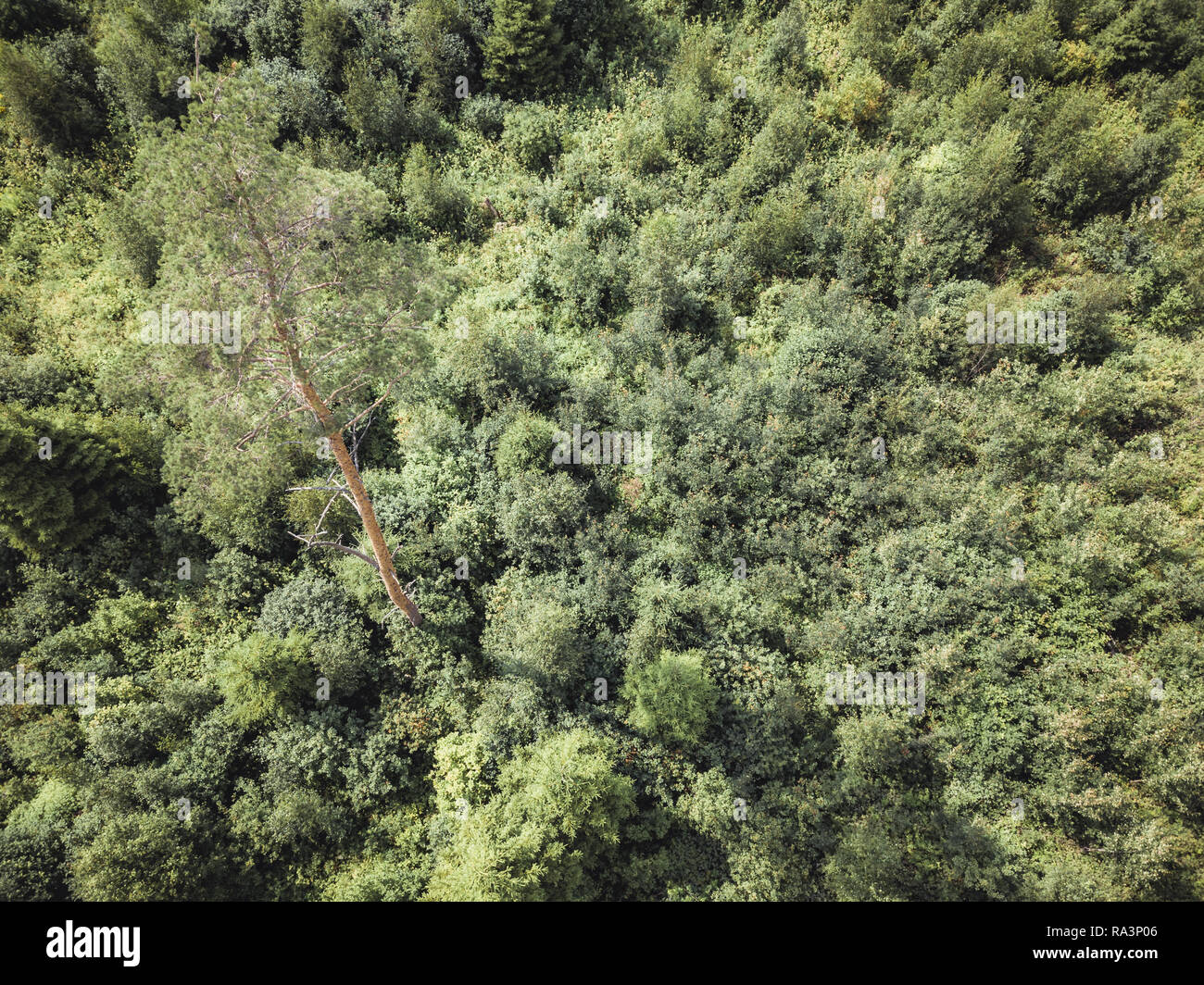 Edit High Resolution Stock Photography and Images - Alamy