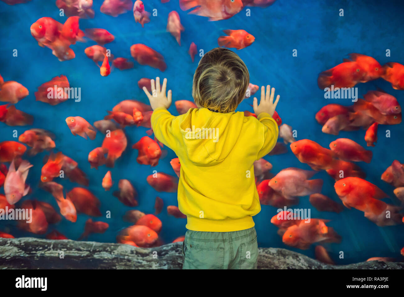 Boy silhouette underwater hi-res stock photography and images - Alamy