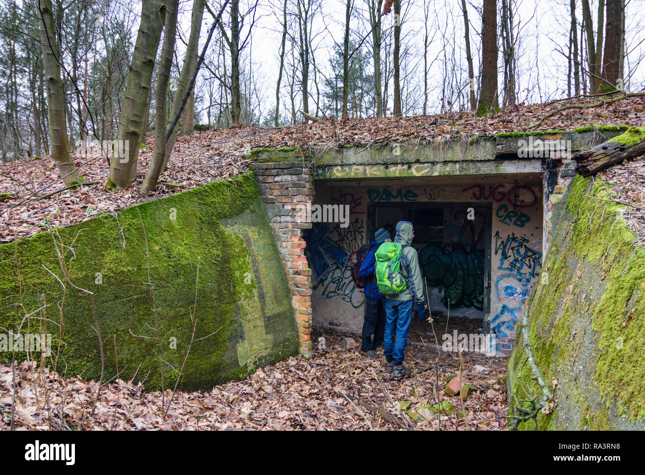 Dresden: bunker in forest Dresdner Heide in , Sachsen, Saxony, Germany ...