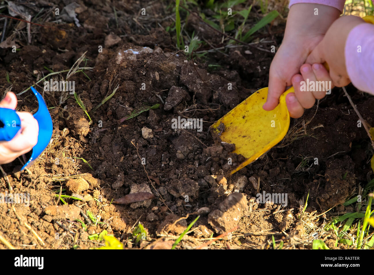 Children digging in the ground with a shovel. Tu B'Shvat in Israel ...