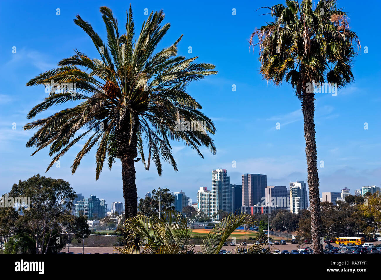 Palm Streets High Resolution Stock Photography and Images - Alamy
