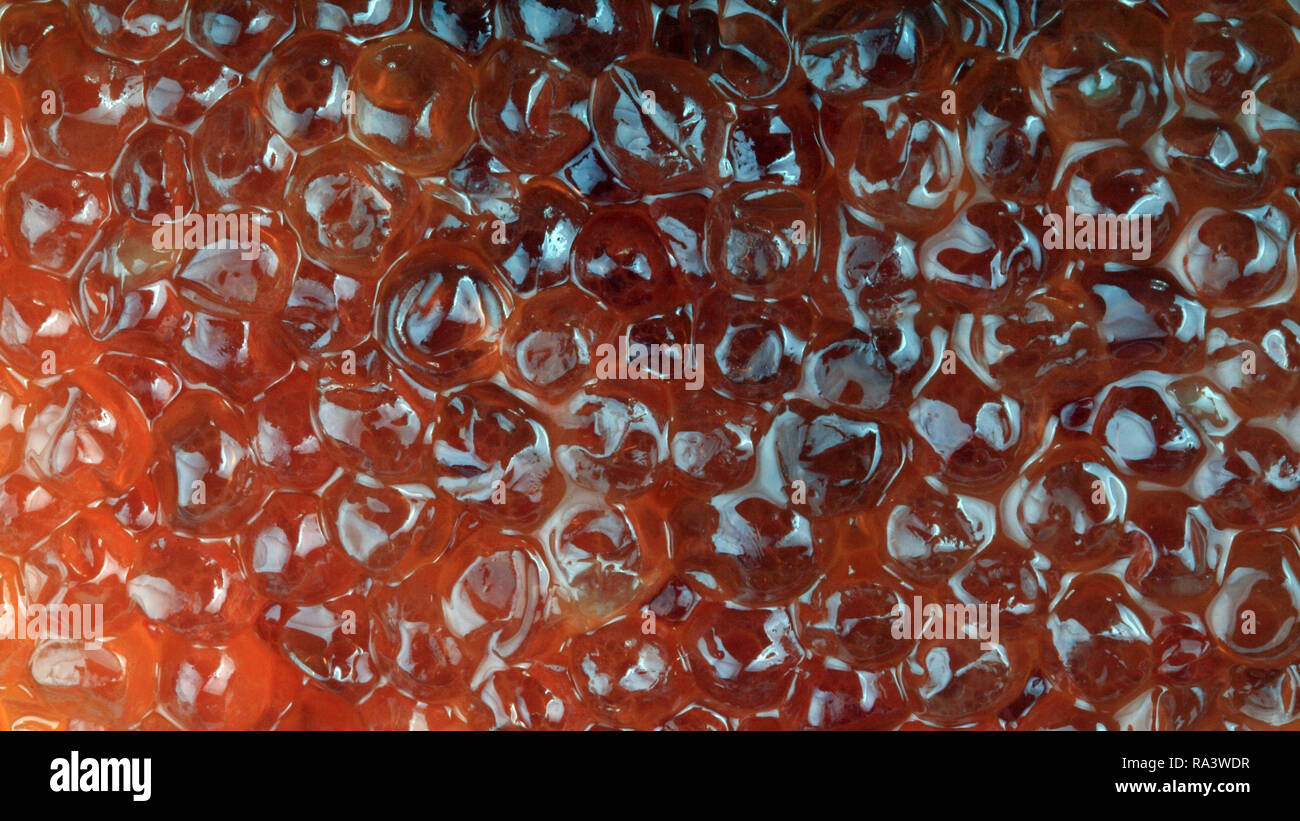 red caviar at day Stock Photo - Alamy