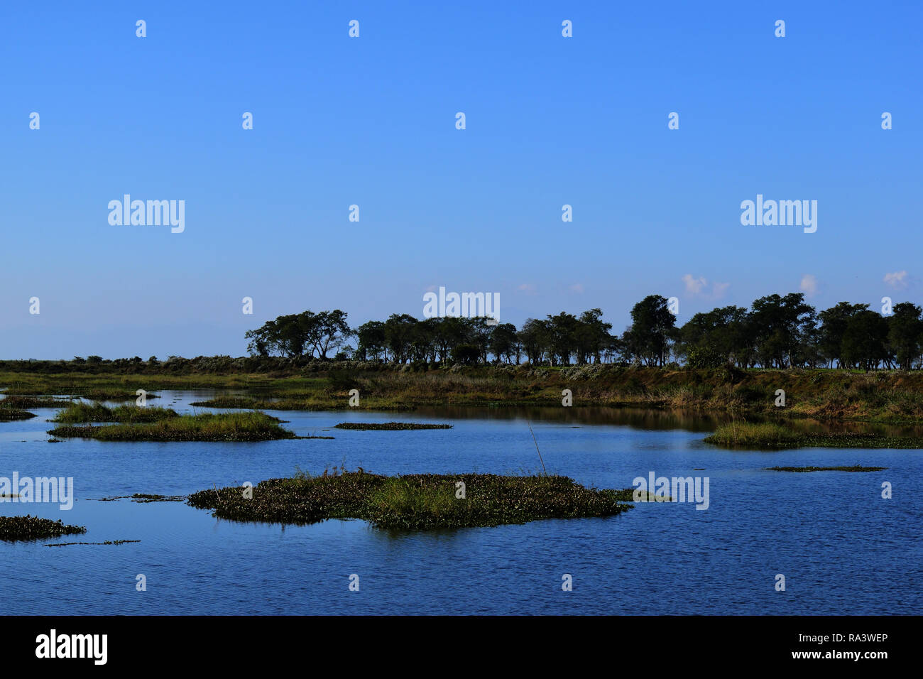 Amazing wide view of lake and greenery with beautiful blue sky Stock ...