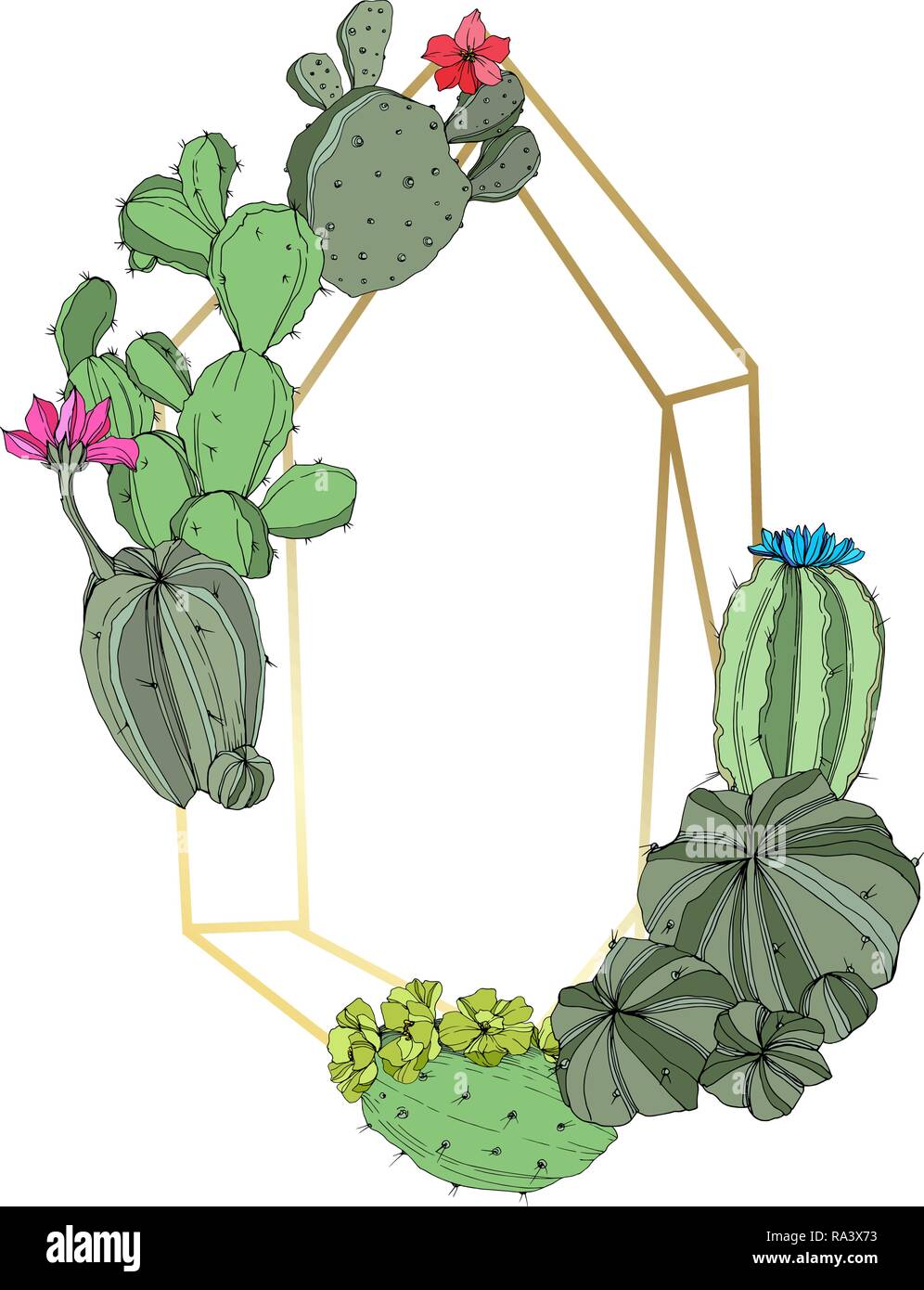Cacti border Stock Vector Images - Alamy