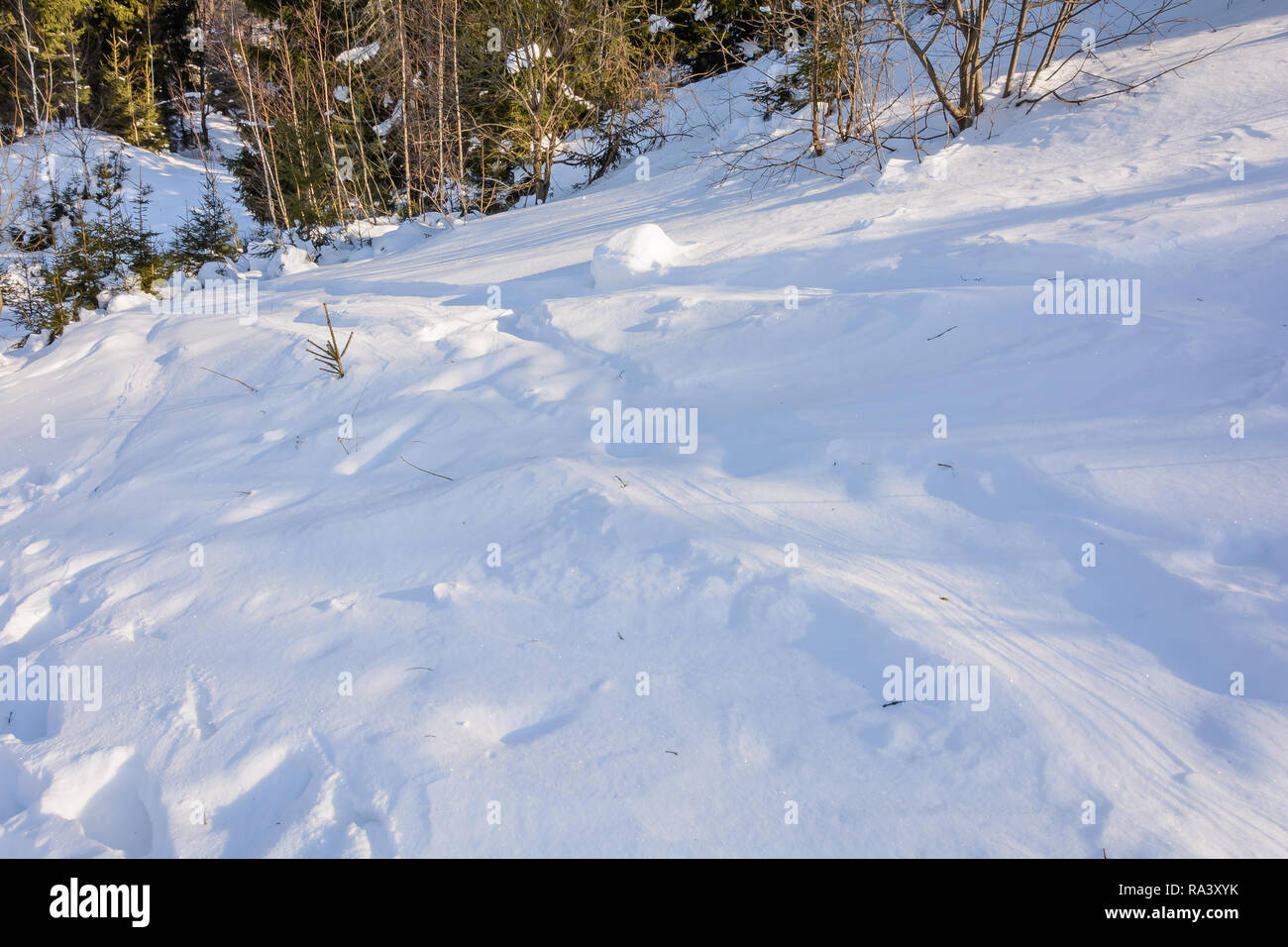 Snow cover on the ground Stock Photo - Alamy
