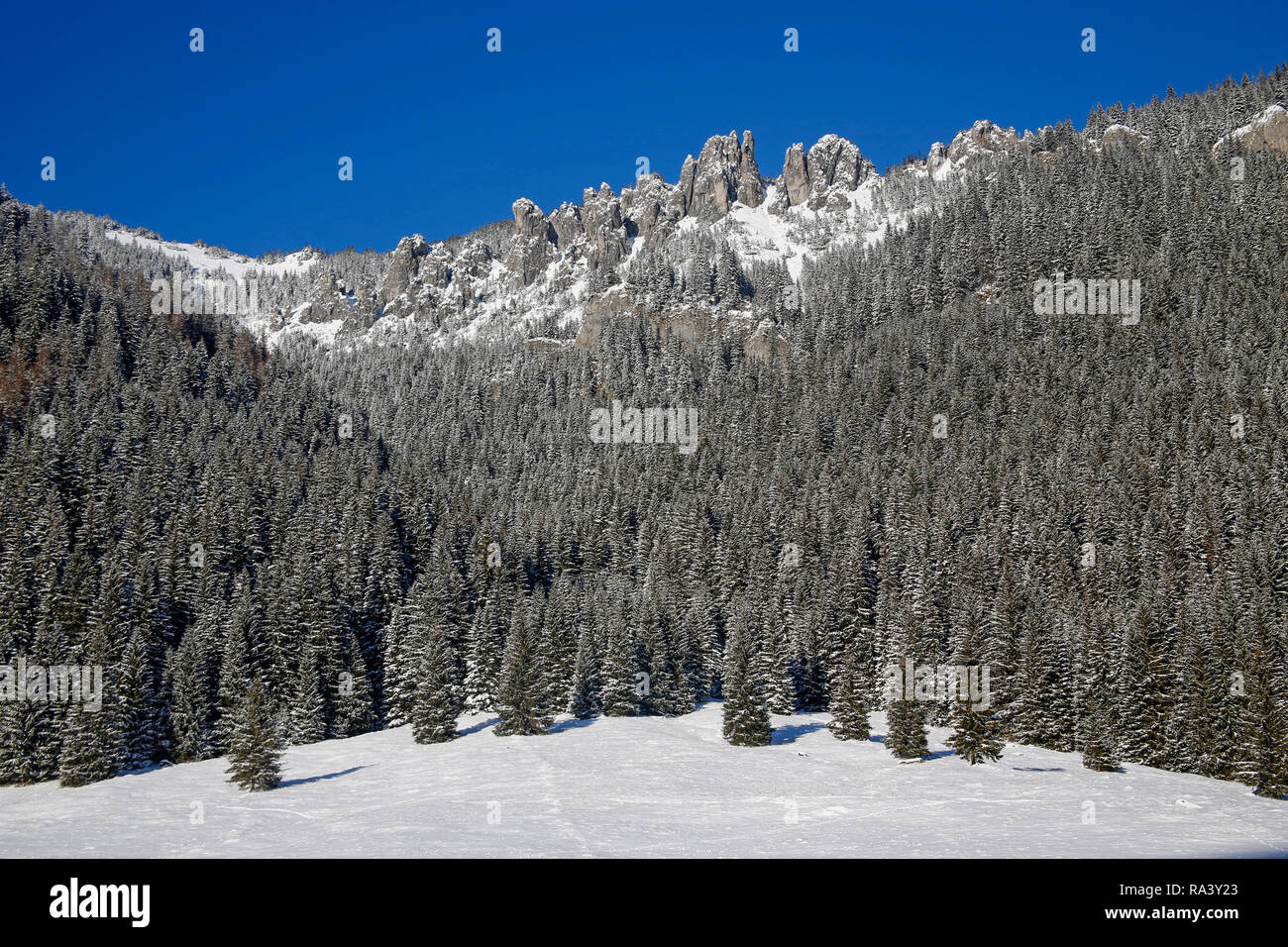 beautiful winter landscape in Tatra Mountains, Poland Stock Photo - Alamy