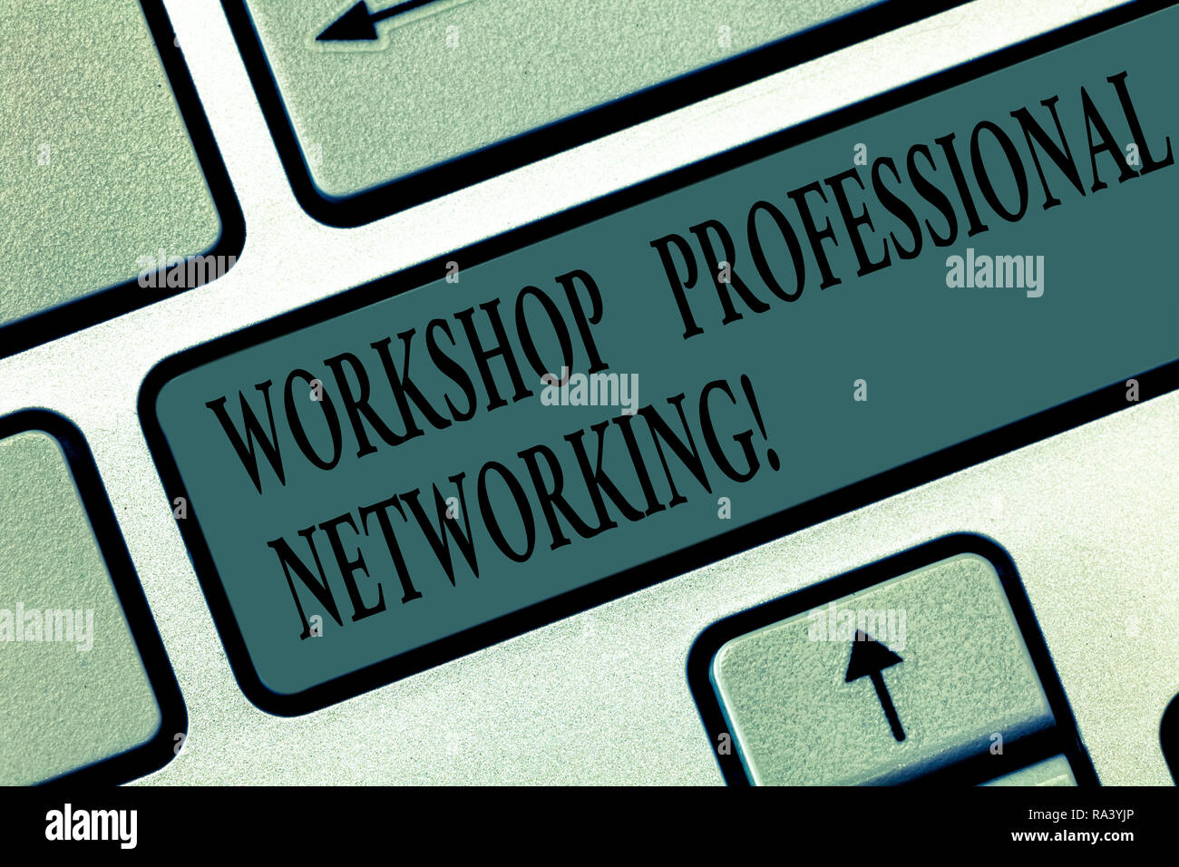 Word writing text Workshop Professional Networking. Business concept ...