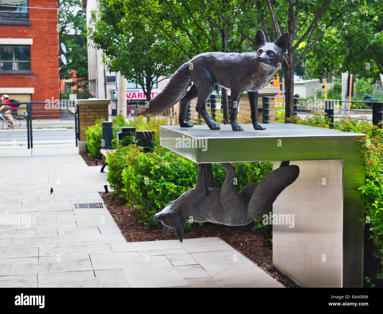 Life-size bronze fox sculptures by Eldon Garnet part of a sculptural ...