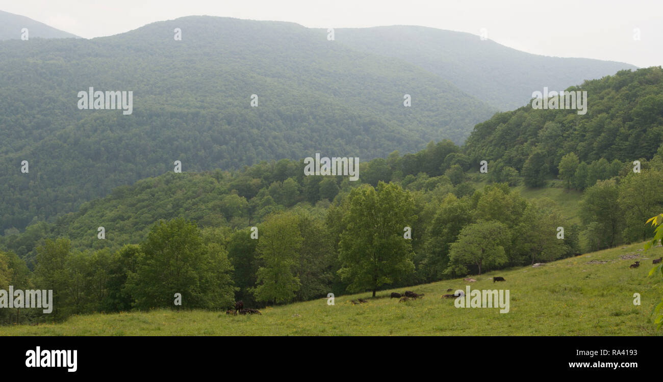 West virginia sights hi-res stock photography and images - Alamy