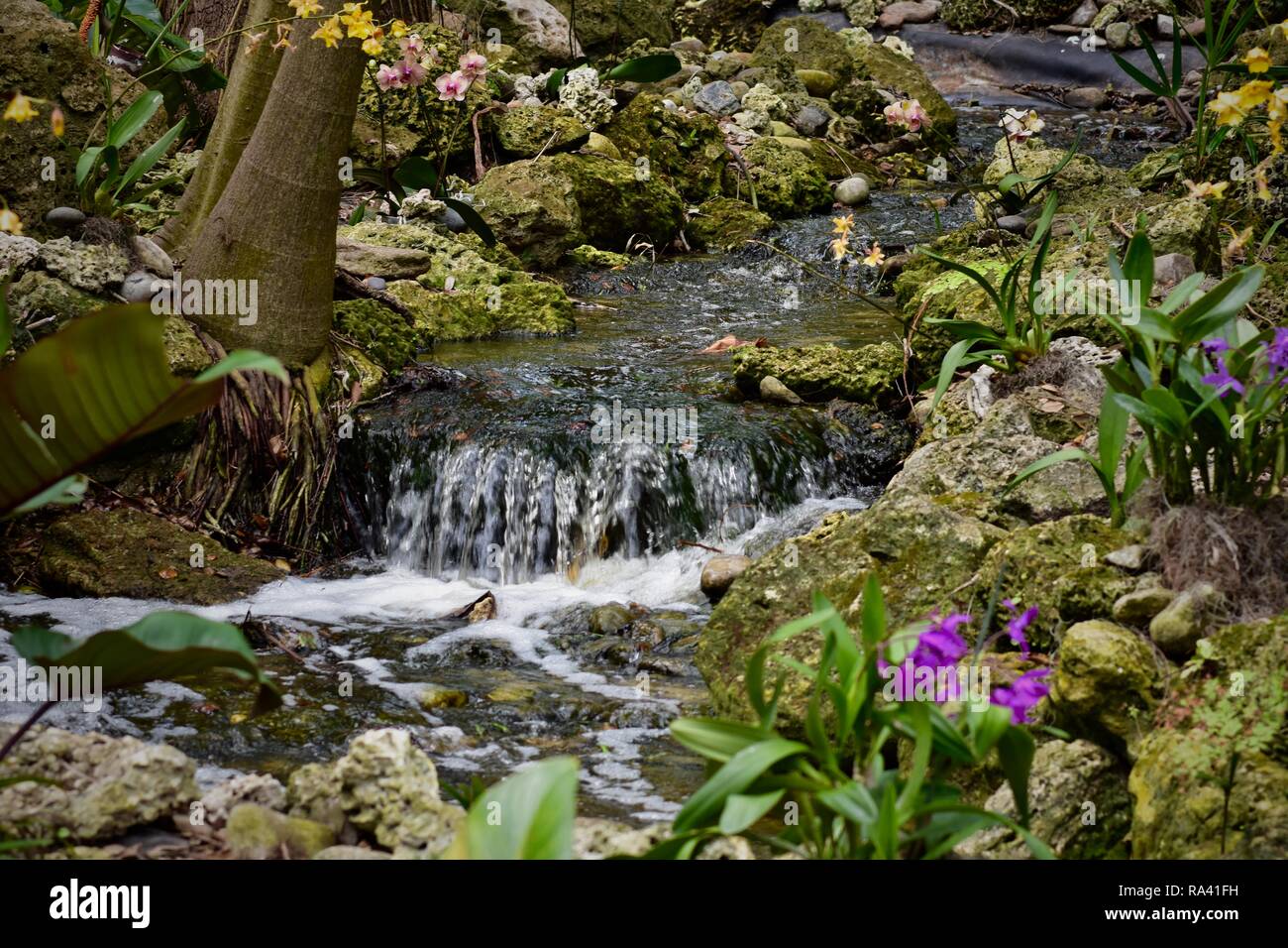 Botanic landscape hi-res stock photography and images - Alamy