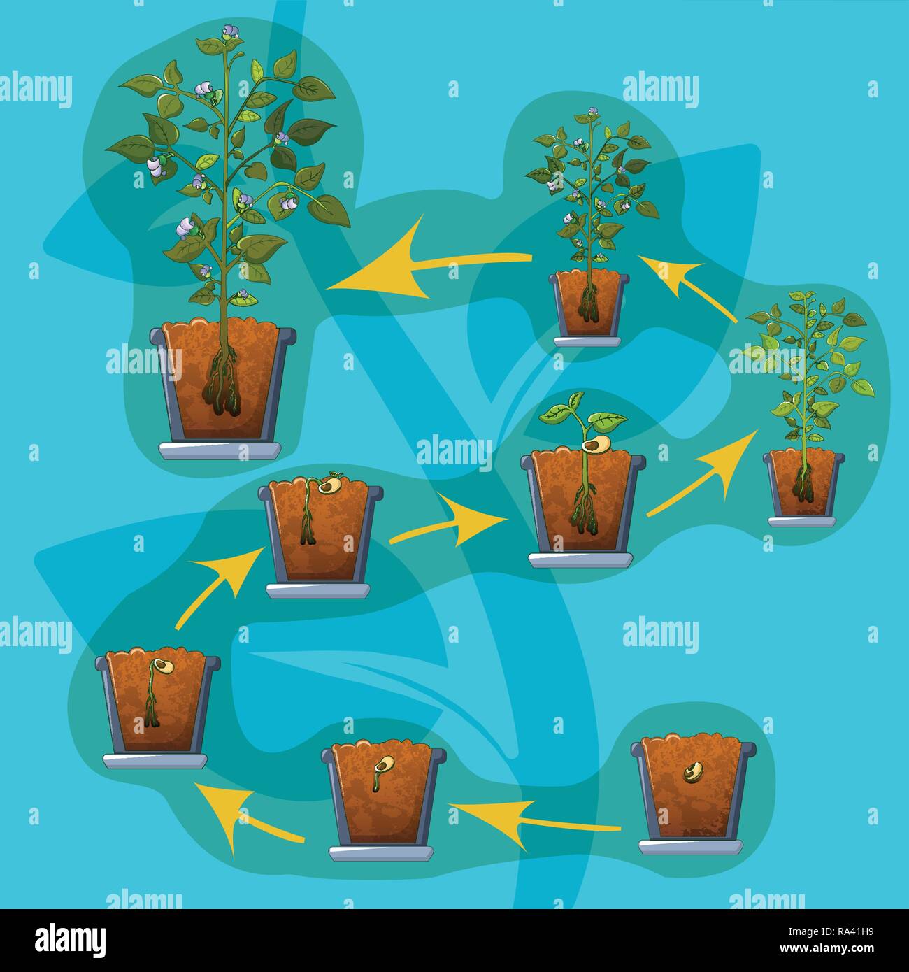 Growth concept banner, cartoon style Stock Vector Image & Art - Alamy