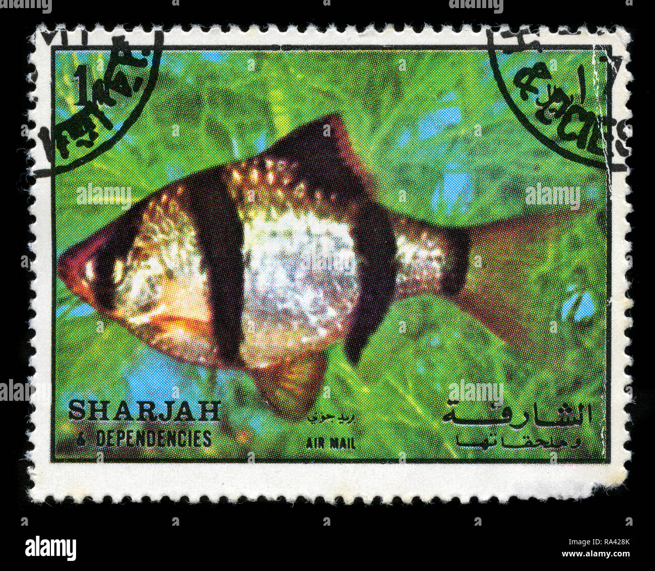 Postage stamp from Sharjah in the United Arab Emirates in the Fishes ...