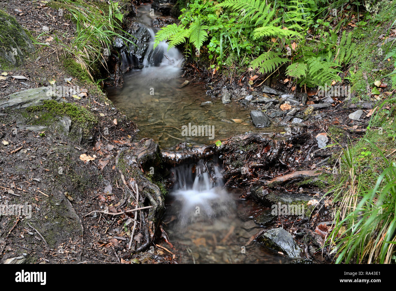 Source of the springs trail hi-res stock photography and images - Alamy