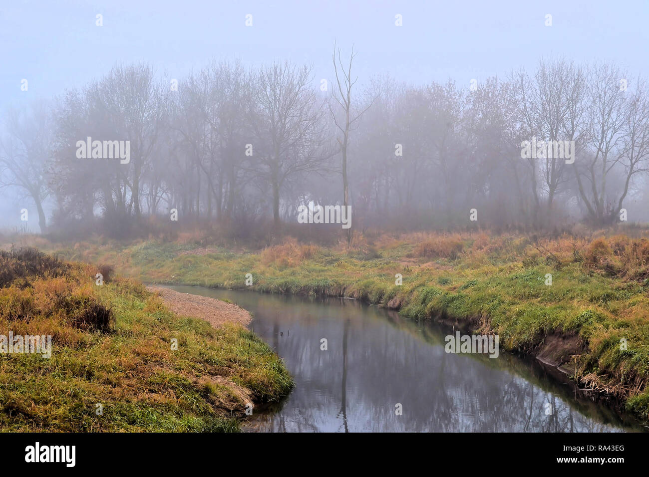 Ehle hi-res stock photography and images - Alamy