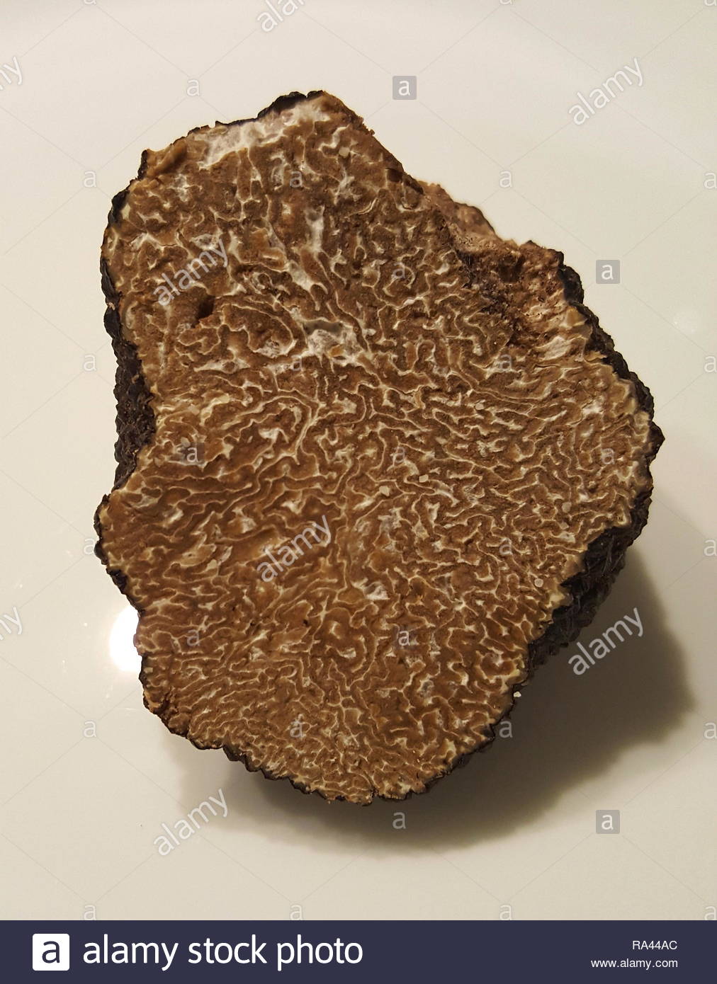 Truffle Fungi High Resolution Stock Photography and Images - Alamy