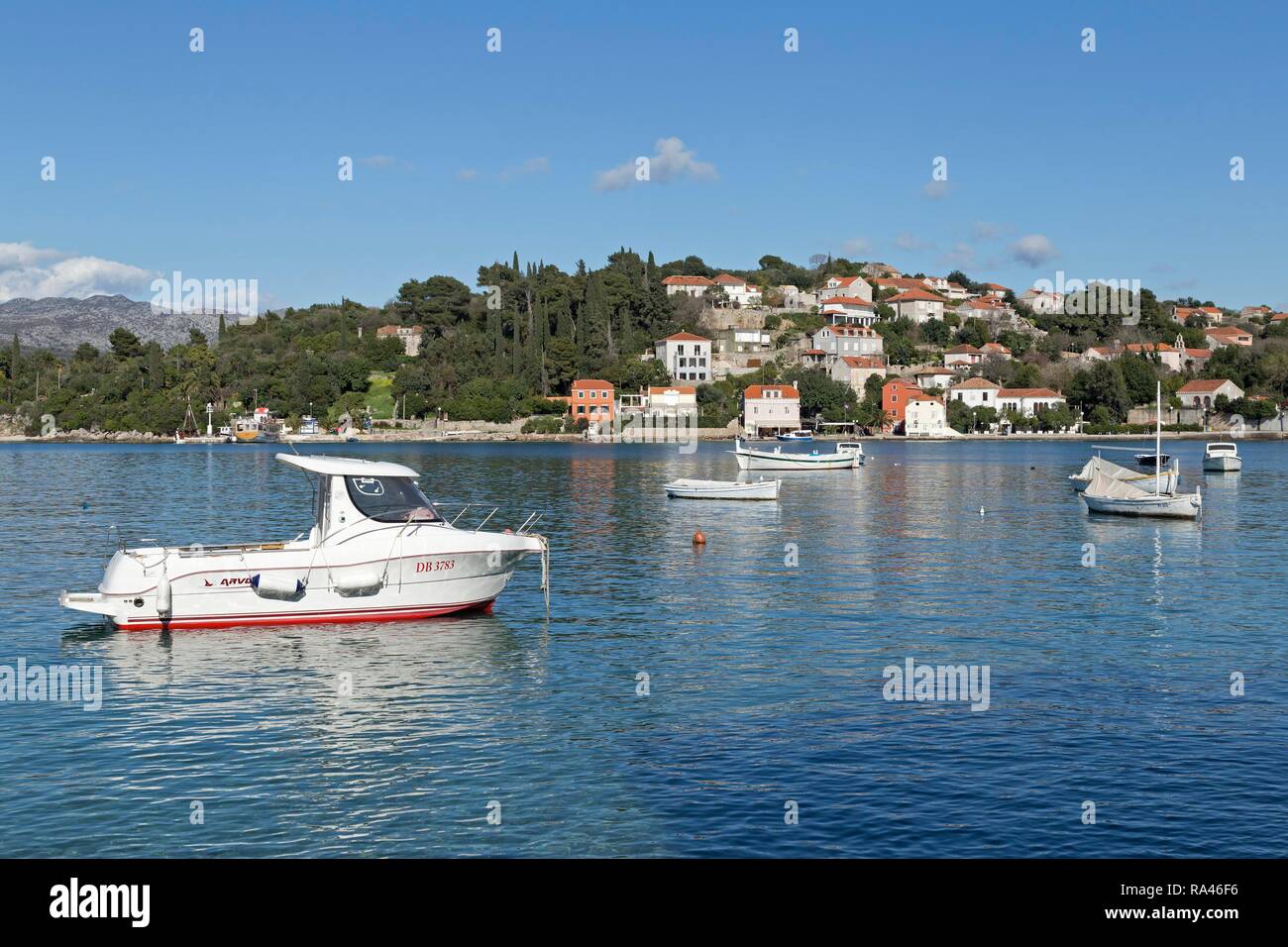 Boats, coastal town Donje Celo, Kolocep Island, Elaphite Islands ...
