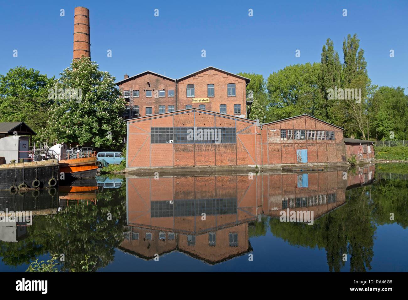 Honey factory, Wilhelmsburg, Hamburg, Germany Stock Photo - Alamy