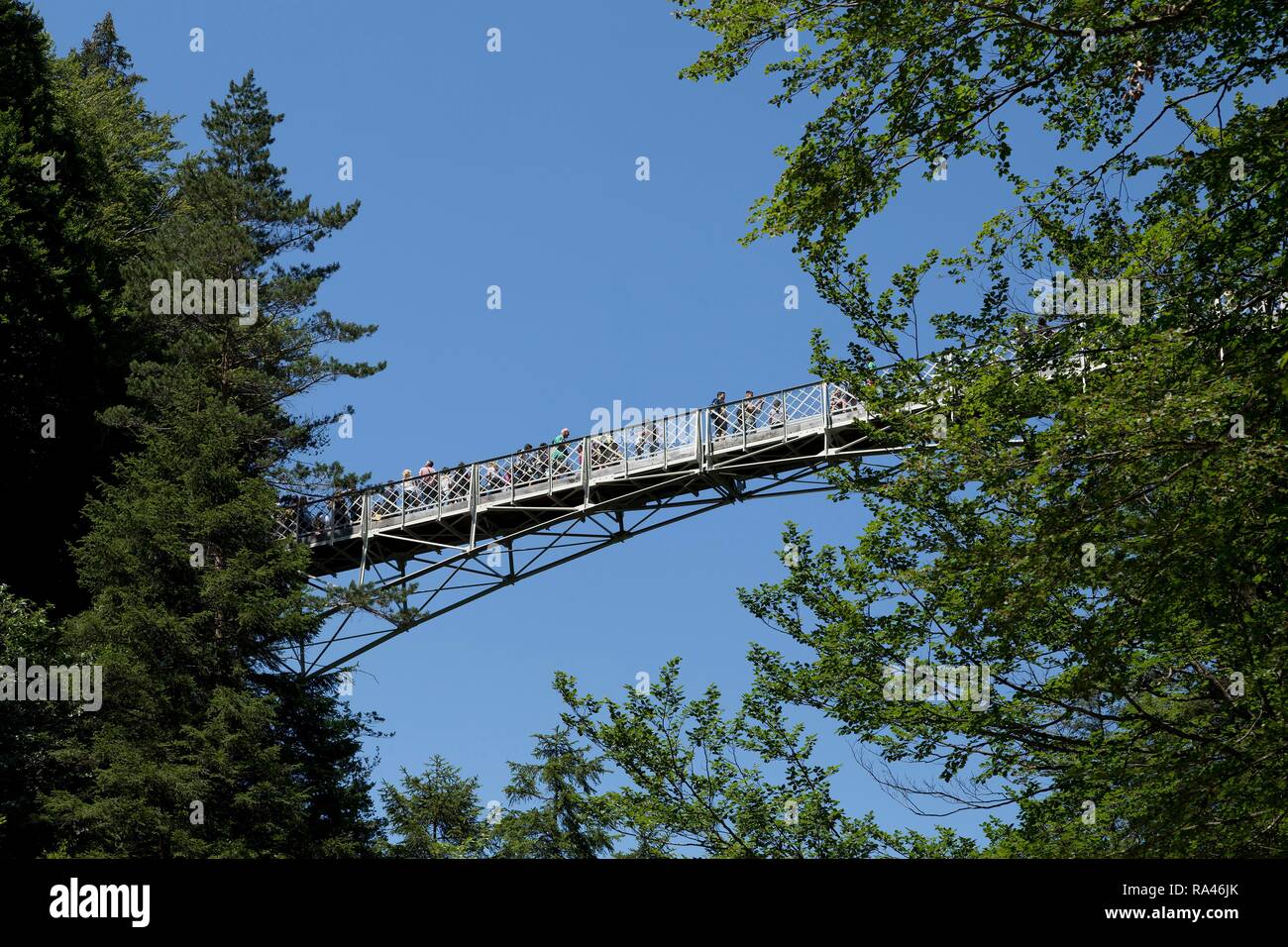 Marien Bridge over the Pöllat Gorge, Hohenschwangau, Allgäu, Bavaria ...