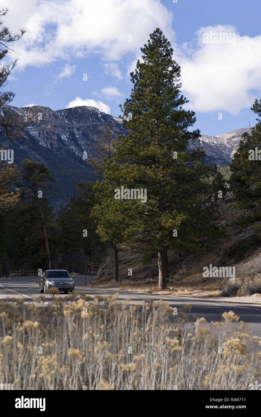 Rugged trail hiking wild west wilderness hi-res stock photography and ...