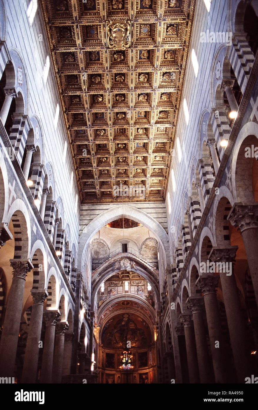 Field ceiling hi-res stock photography and images - Alamy