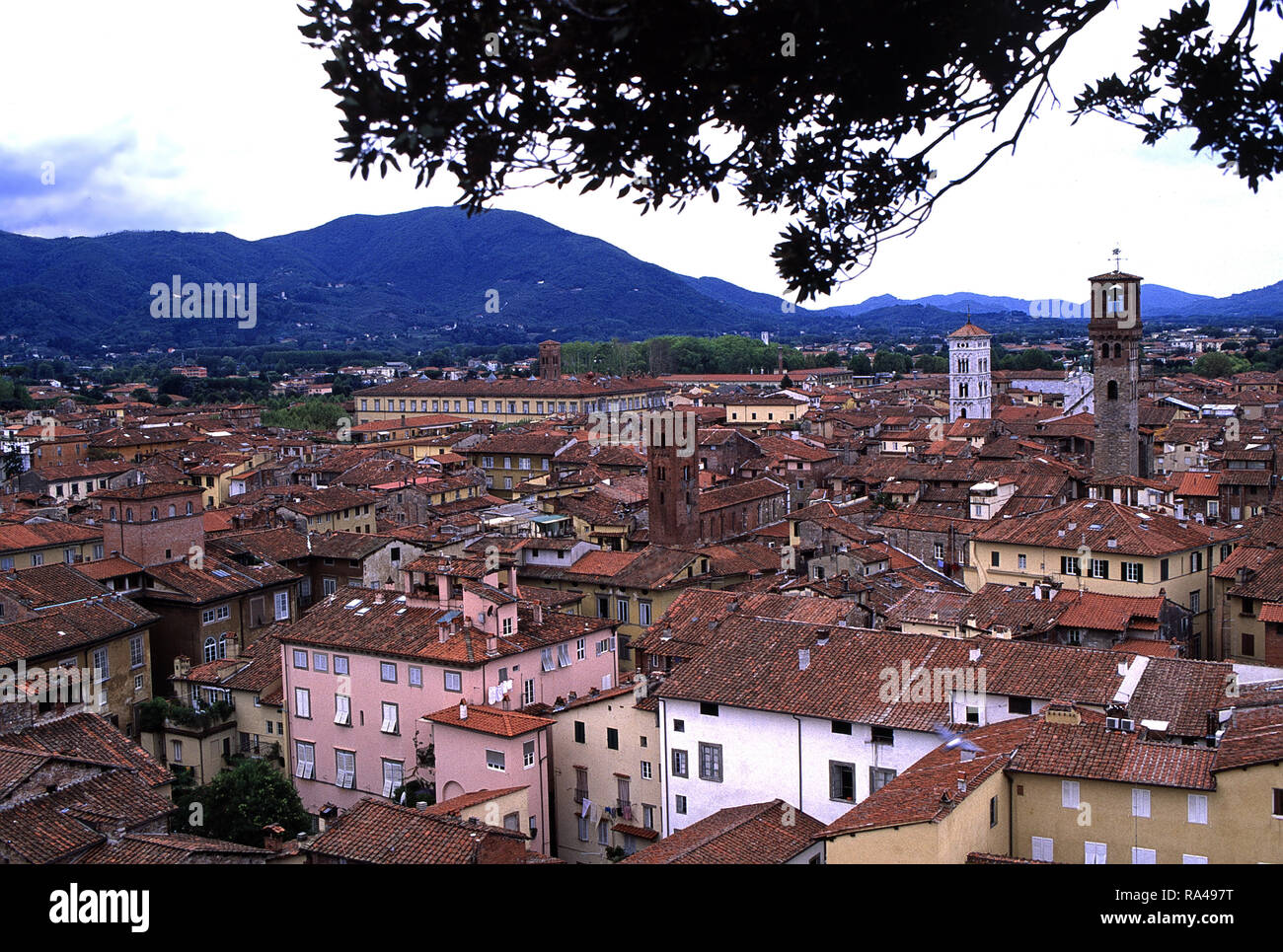 Lucca towers hi-res stock photography and images - Alamy