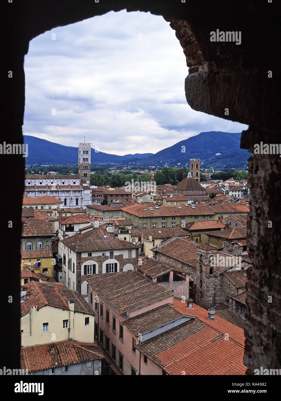 Lucca towers hi-res stock photography and images - Alamy