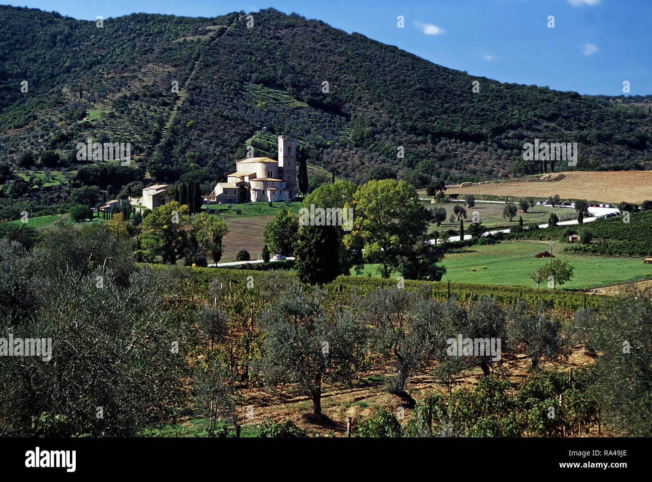 San Antimo abbey,Montalcino,Italy Stock Photo - Alamy