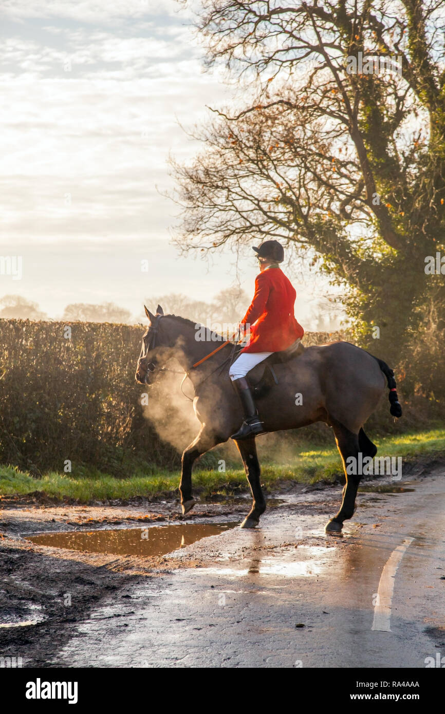 . The Cheshire fox hunt on their annual Christmas Eve meet in the ...