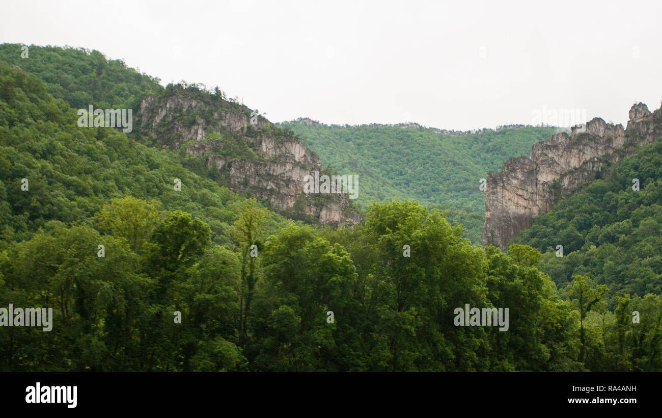 Virginia ecology hi-res stock photography and images - Alamy
