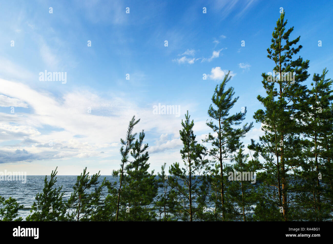 Baltic sea ecosystem hi-res stock photography and images - Alamy