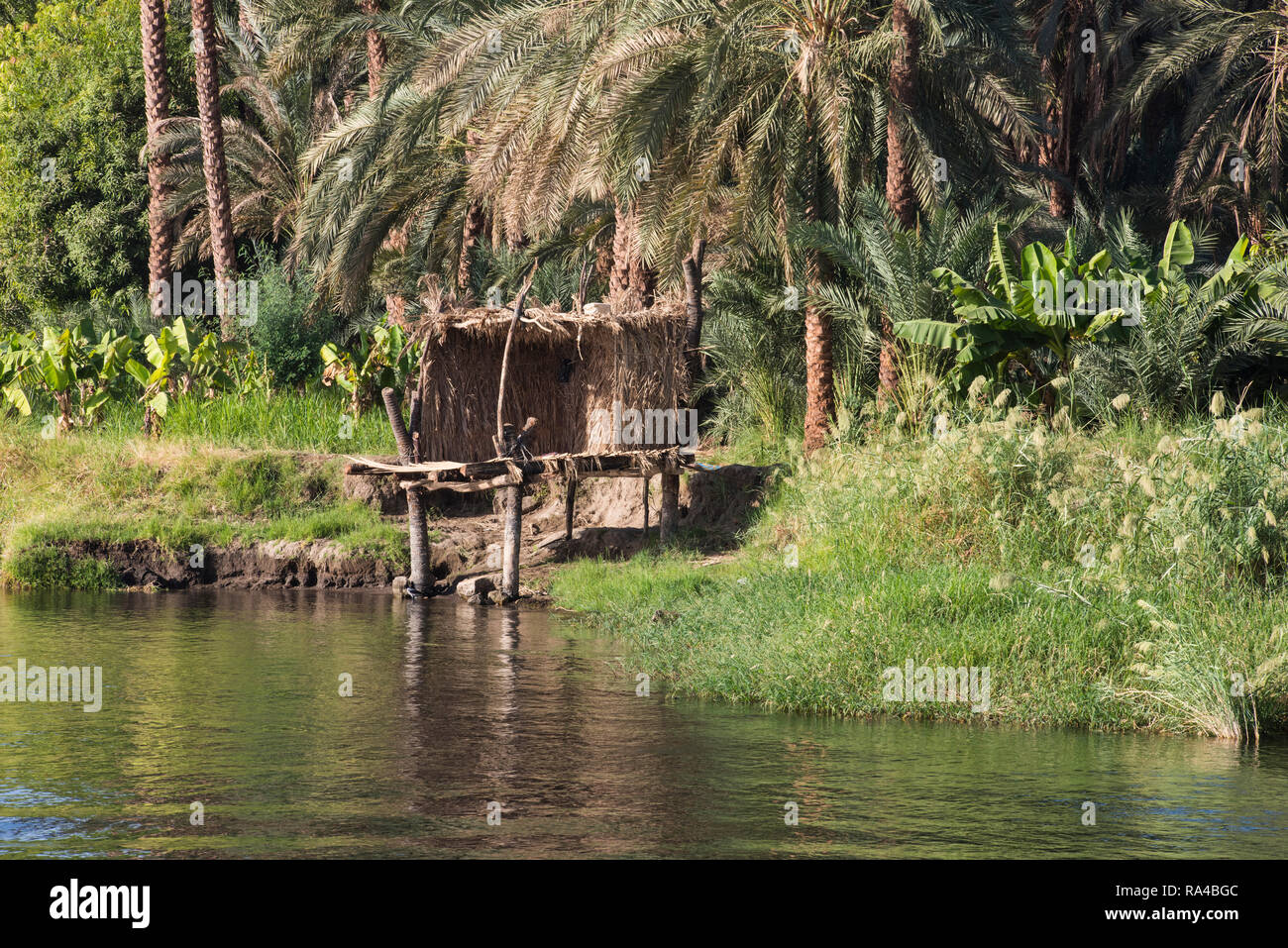 View across river Nile in Egypt through rural countryside landscape ...