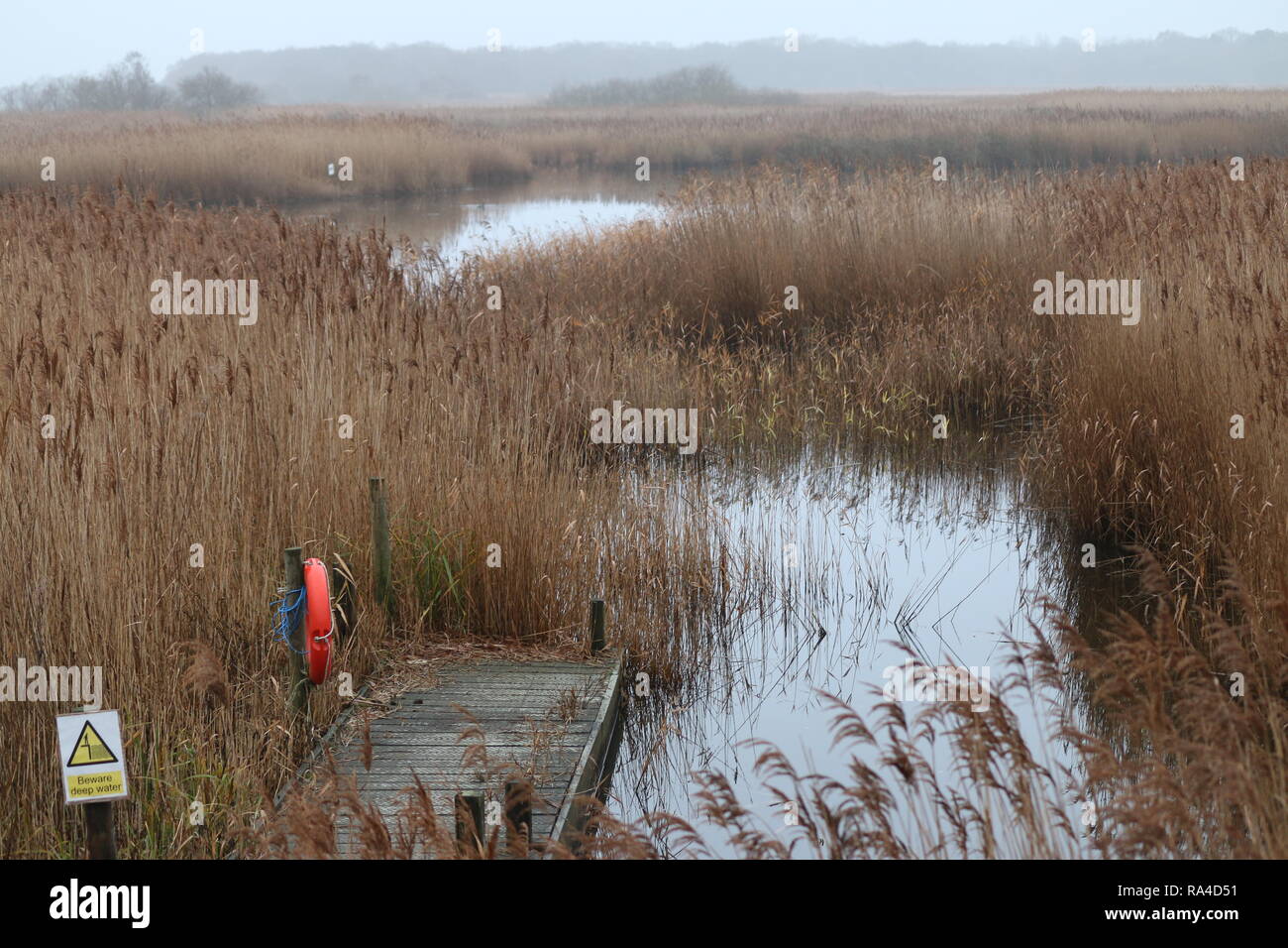 Beautiful landscape view at a nature reserve across the water and reeds ...