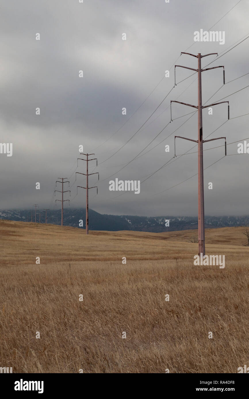 Front range wildlife hi-res stock photography and images - Alamy