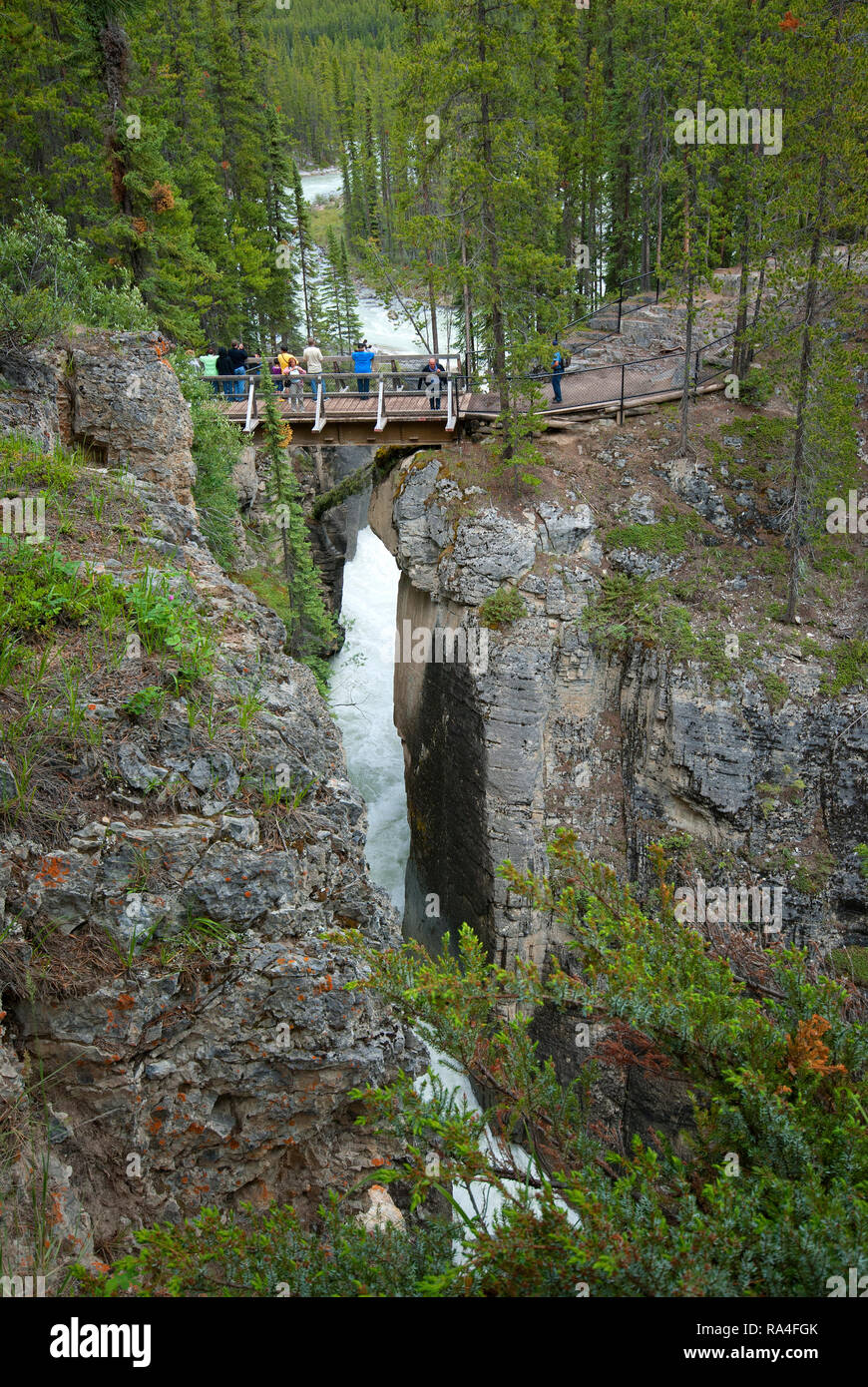 Bridge over gorge at Sunwapta Falls, Jasper National Park, Rocky ...
