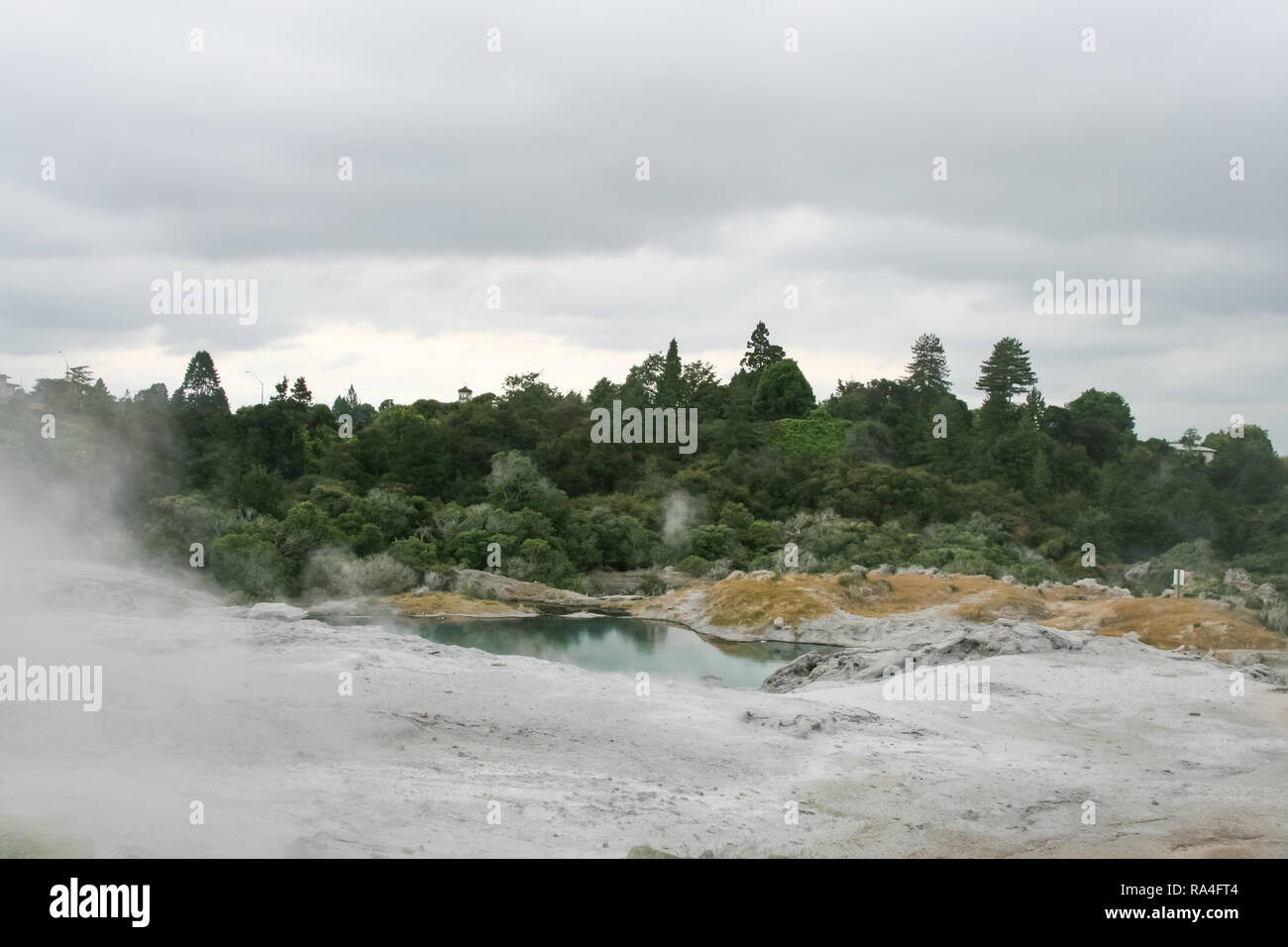 New Zealand steam geysers. New Zealand landscapes Stock Photo - Alamy