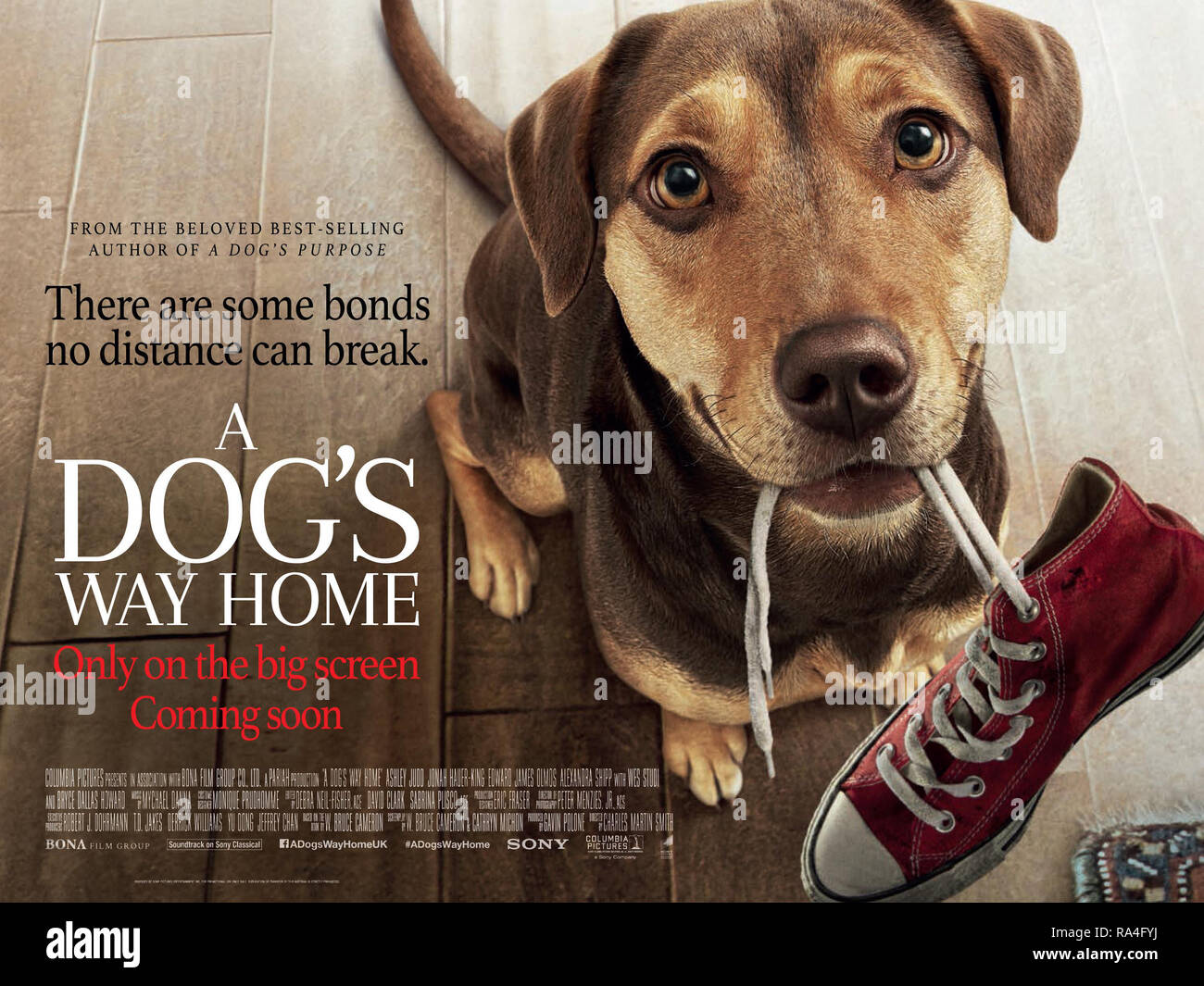 A DOG'S WAY HOME, British poster, Bella (voice: Bryce Dallas Howard ...